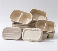 China Disposable Lunch Biodegradable Take Away Food Package Container for sale