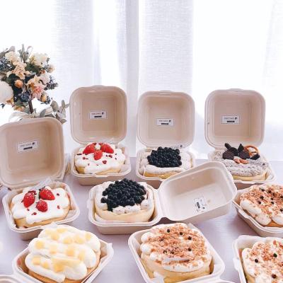 China Restaurant Fast Food Takeaway Bento Lunch Square Biodegradable Disposable for sale