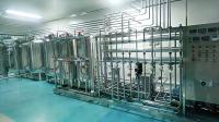 China Fully Automatic Reverse Osmosis EDI Water System for Pharmacy Industry for sale