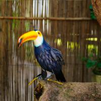 China Blue Toucan Metal Garden Ornament - Handmade Iron Decoration with Rust-Resistant Finish and Custom Sizes for sale