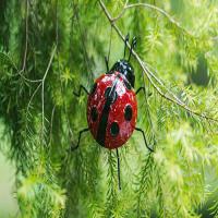 China Medium Metal Garden Ladybug Ornaments - Weatherproof Animal Decor in Small & Medium Sizes - 1000pcs MOQ for sale
