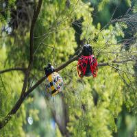 China Artistic Animal Metal Insect Garden Ornaments Multicolor Eye Catching for sale