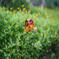China Small Metal Solar Garden Animal Lights with 100mAh Battery and IP44 Waterproof Rating for Outdoor Decoration for sale