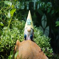 China Metal Garden Gnome Ornaments Outdoor Decor Small Flower Gnome for sale