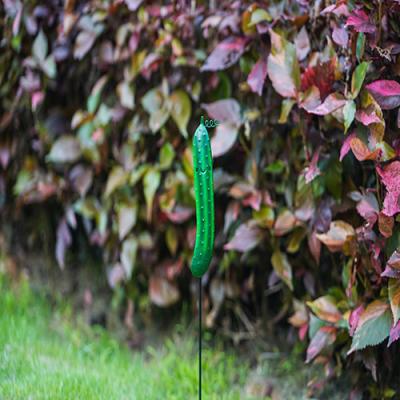 China Metal Garden Ornaments Metal Crafts Plugin Vegetable Decoration for sale