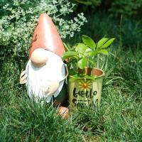 China Metal Garden Gnome Planter - Weatherproof Outdoor Decor with 100 Piece MOQ and 60-80 Day Delivery for sale