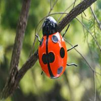 China Metal Ladybird Garden Ornaments Cute Metal Insect Decorations for sale