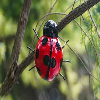 China Metal Ladybird Garden Ornaments Cute Metal Insect Decorations for sale