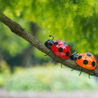 China Metal Ladybird Garden Ornaments Cute Metal Insect Decorations for sale