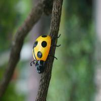 China Backyard Metal Ladybug Decor Outdoor Garden Ladybird Ornaments for sale