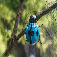 China Small Metal Ladybird Garden Ornaments Artistic Metal Ladybug Wall Decor for sale