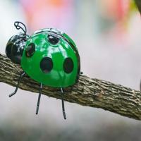 China Outdoor Metal Ladybug Yard Art Animal Metal Garden Wall Decor for sale
