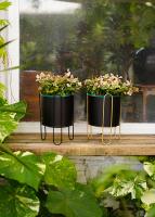 China Exquisite Metal Yard Ornaments Decorations Indoor / Outdoor Garden Pot for sale