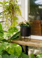 China Exquisite Metal Yard Ornaments Decorations Indoor / Outdoor Garden Pot for sale