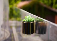 China Railing Metal Mesh Metal Garden Pot Decorative Belt Hooks Outdoor for sale