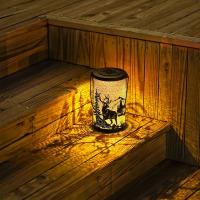 China Custom Metal Solar Garden LED Lights with 6-8 Hour Runtime and IP44 Waterproof Rating for sale