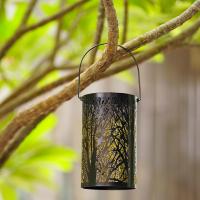 China Space At Solar Garden Ornament with 100mAh Battery and 6-8 Hour Runtime - IP44 Waterproof Outdoor LED Lighting for sale