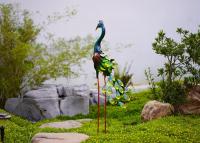 China Sturdy Yard Metal Peacock Decor Garden Statue For Outdoor Bird Lawn for sale