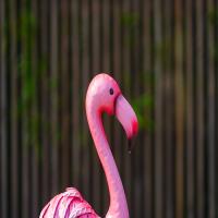 China Outdoor Pink Flamingo Metal Yard Art / Metal Flamingo Garden Stake for sale