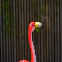 China Outdoor Metal Flamingo Yard Decor Lawn Flamingo Metal Statue for sale