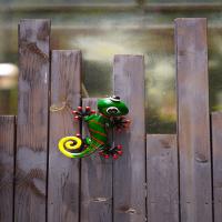 China Colorful Outdoor Metal Lizard Wall Art - Weatherproof Iron Gecko Decor in Small & Medium Sizes for sale