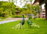 China Colorful Animal Peacock Metal Garden Ornament Artistic Weatherproof for sale