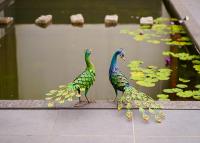 China Green Metal Peacock Lawn Ornament Modern Animal Garden Decoration for sale