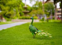 China Green Metal Peacock Lawn Ornament Modern Animal Garden Decoration for sale