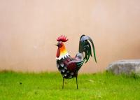 China Decorative Metal Rooster Decor Outdoor Metal Rooster Yard Art for sale