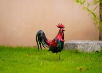 China Decorative Metal Rooster Decor Outdoor Metal Rooster Yard Art for sale