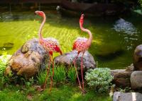 China Metal Pink Flamingo Garden Ornament Set of 2 - Steel Construction with Weather-Resistant Finish for Outdoor Decoration for sale