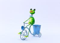China Metal Frog Bicycle Flowerpot Interior Decoration Outdoor Garden Flowerpot for sale