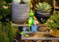 China Metal Frog Bicycle Flowerpot Interior Decoration Outdoor Garden Flowerpot for sale