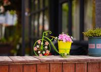 China Multiple Design Metal Garden Pot Home Furnishings Customizable for sale