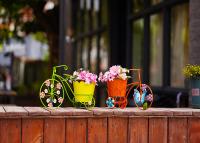 China Multiple Design Metal Garden Pot Home Furnishings Customizable for sale