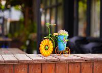 China Metal Bicycle Flowerpot Garden Decoration Simple Flowerpot Decoration for sale