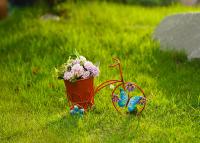 China Various Color Design Metal Bicycle Shape Garden Pot Home Decoration for sale