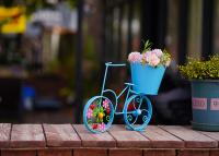 China Customized Metal Bicycle Shape Garden Pot Home Decoration Multiple for sale