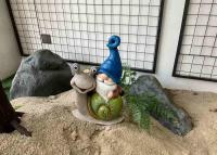 China Magnesium Oxide Garden Gnome Riding Turtle Statue - Weatherproof Outdoor Decoration with Custom Sizes & Colors for sale