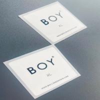China According To Your Request Or Artwork Heat Transfer Clothing Labels Printing Label Page Size mm Made For Apparel Labeling Purposes for sale