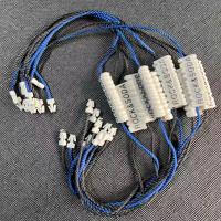 China Embossed Plastic Tag Fastener Featuring Adjustable Rope Length Ideal for Secure Tagging Solutions in Various Industries for sale