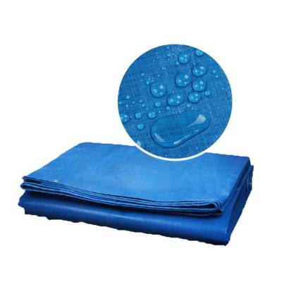 China Stain Resistant High Quality Industry Anti-radiation Agriculture Umbrella Production Austom PE Tarpaulin Waterproof Canvas Tarps for sale