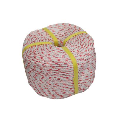 China High Quality Polyester Polyamide Plastic Cotton Twist Rope Polyethylene PP/PE Nylon Rope for sale