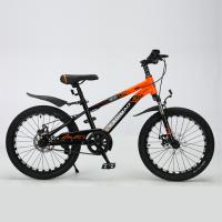 China Customized Logo 20 Inch Mountain Bicycle MTB Custom Mountain Bike With Alloy Rim for sale