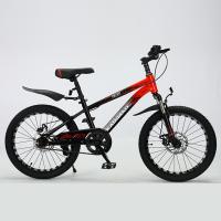 China Customized Logo 20 Inch Mountain Bicycle MTB Custom Mountain Bike With Alloy Rim for sale