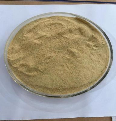 China Light Yellow Beer Yeast Powder Feed Additives With High Real Protein for sale