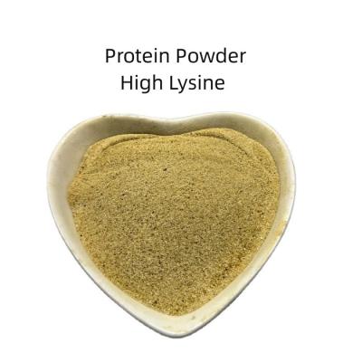 China Probiotics Bacterial Poultry Protein Animal Feed Additives Add Flavor And Freshness for sale