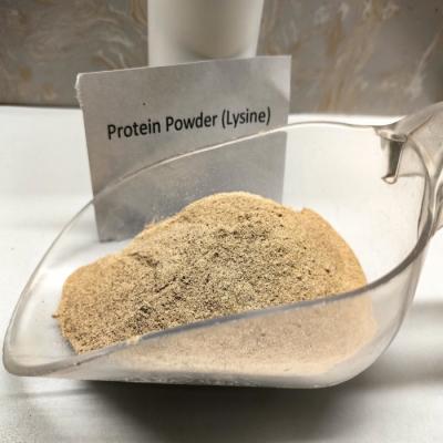 China Protein 18% Organic Animal Feed Additive Customized Formulation for sale