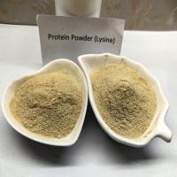 China Vitamins B Poultry Protein Supplement Powder With Bacillus Subtilis For Animal Nutrition for sale