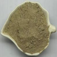 China Lysine Fermenting Bacterial Animal Feed Additives With Crude Protein 75% for sale